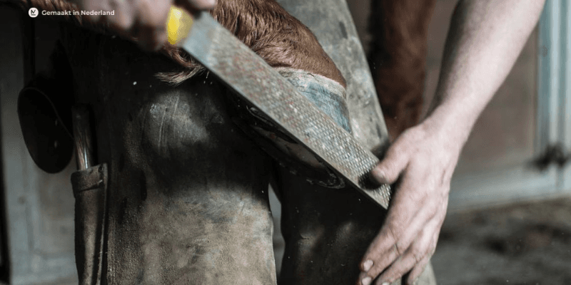Hoefsmid | Gemaakt in Nederland